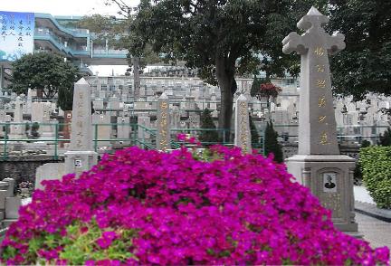 What are the most popular plants for the cemetery?