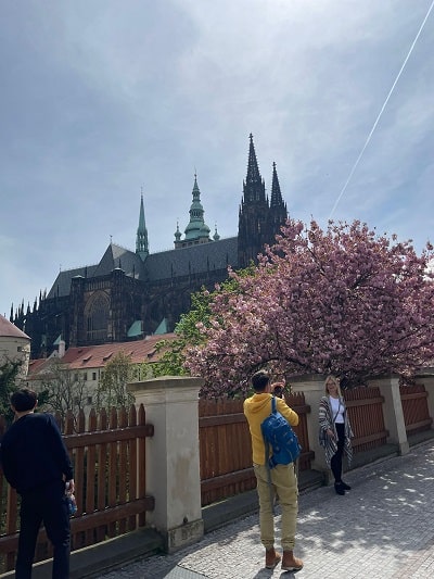 Popular flower varieties in the Czech Republic