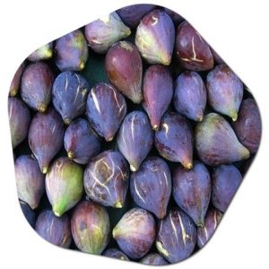 Are figs popular in France? - Content about Plants
