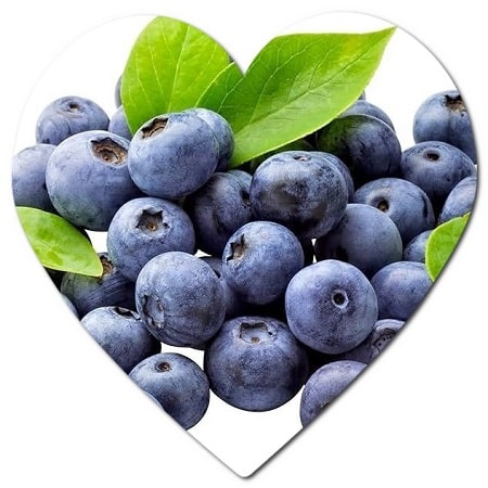 Which plants can grow in Alabama? - Content about Plants