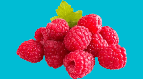 Where are raspberries grown in the US - Content about Plants